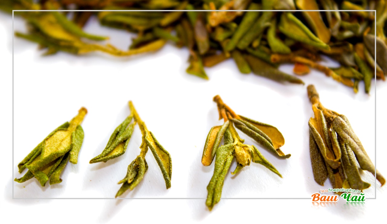 Саган Дайля оптом. С доставкой. Магазин Ваш Чай